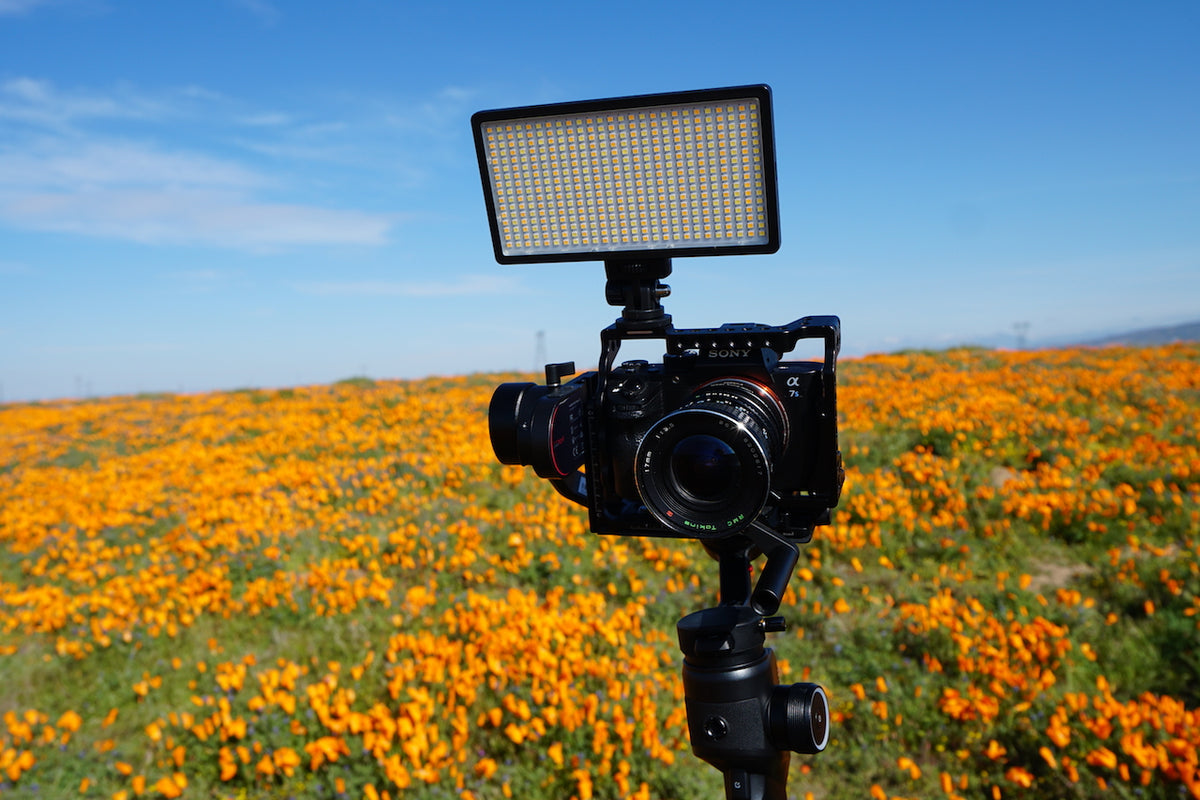 Compact Led Light for Your Gimbal – Gimbal Guru
