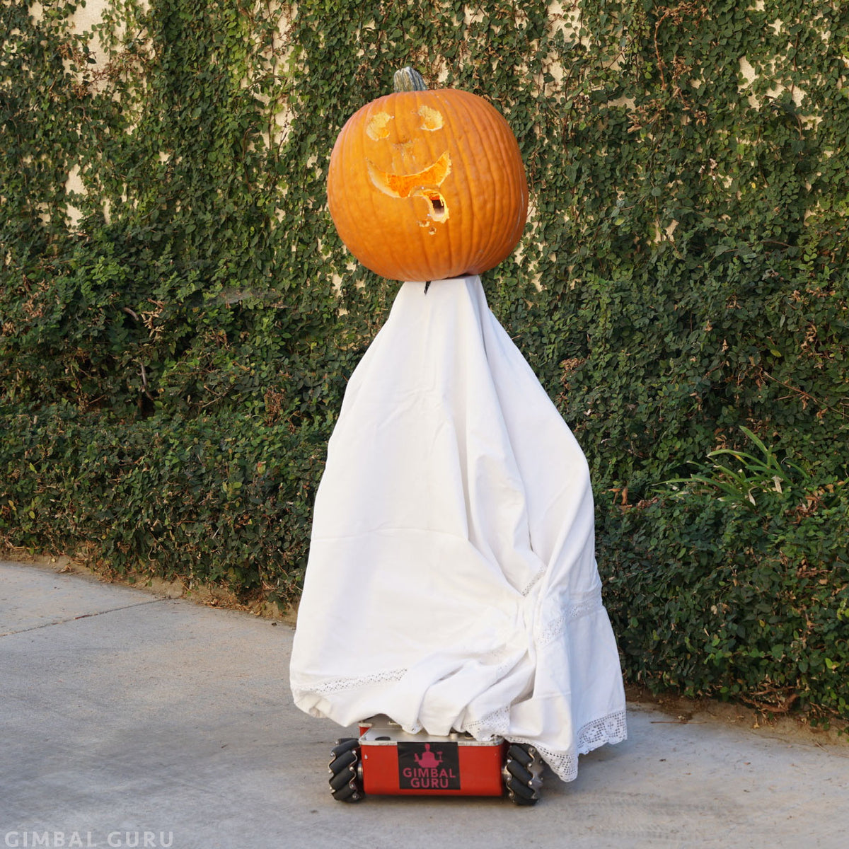 Happy Halloween From Gimbal Guru and Guru 360 Rover!