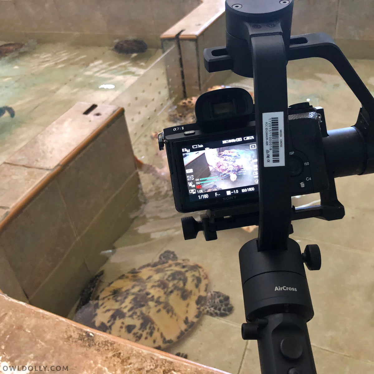 How To Use Mimic Motion Control With MOZA Wireless Controller for MOZA ...